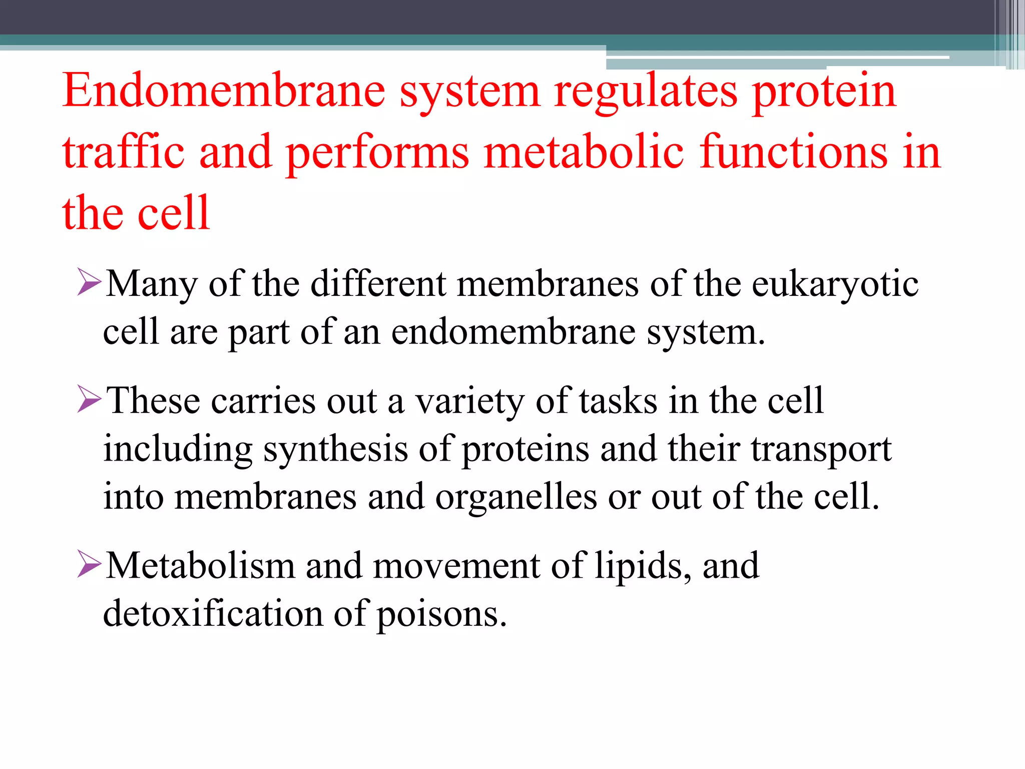 Introduction to cell organelles | PPTX