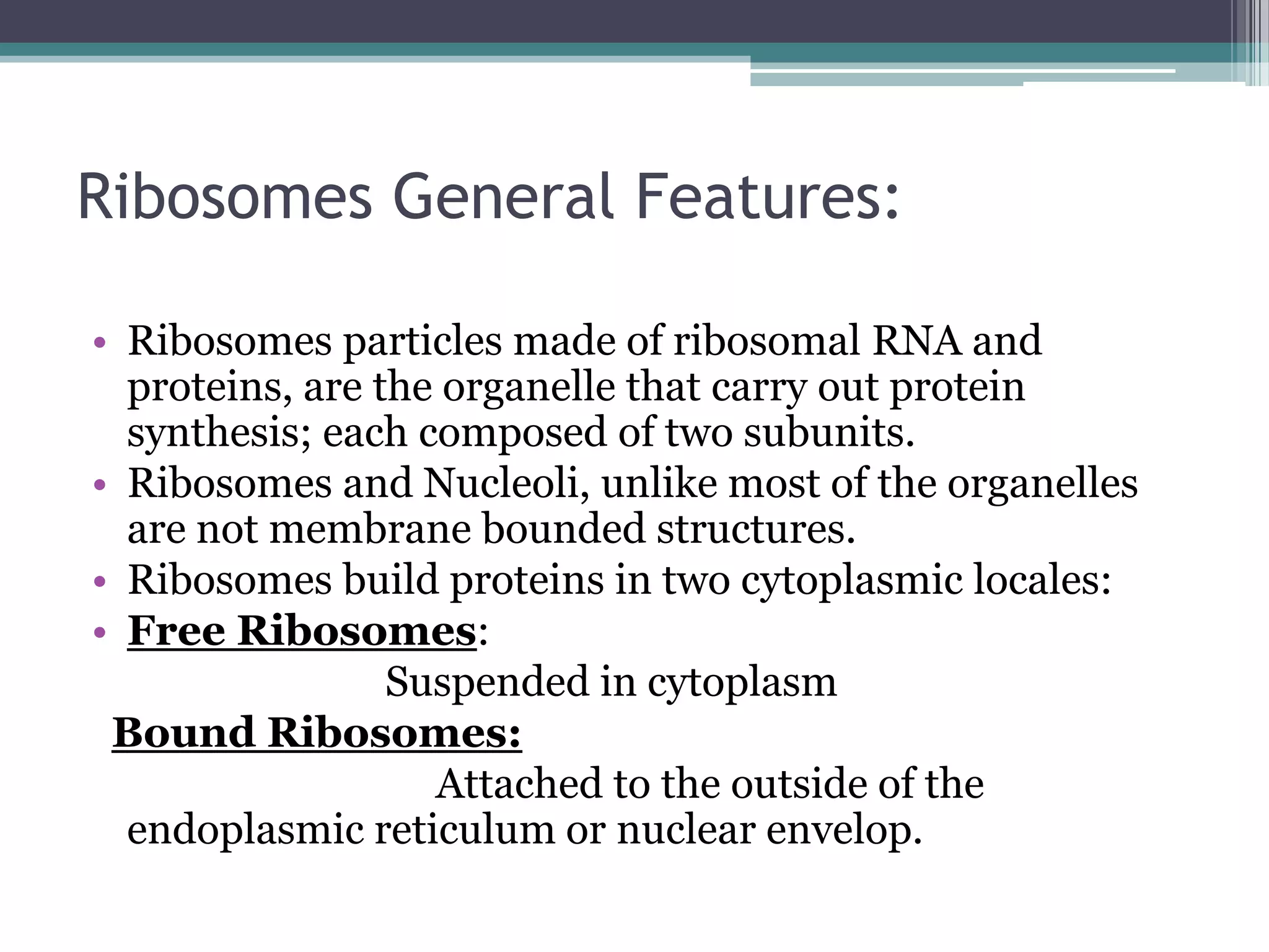 Introduction to cell organelles | PPTX