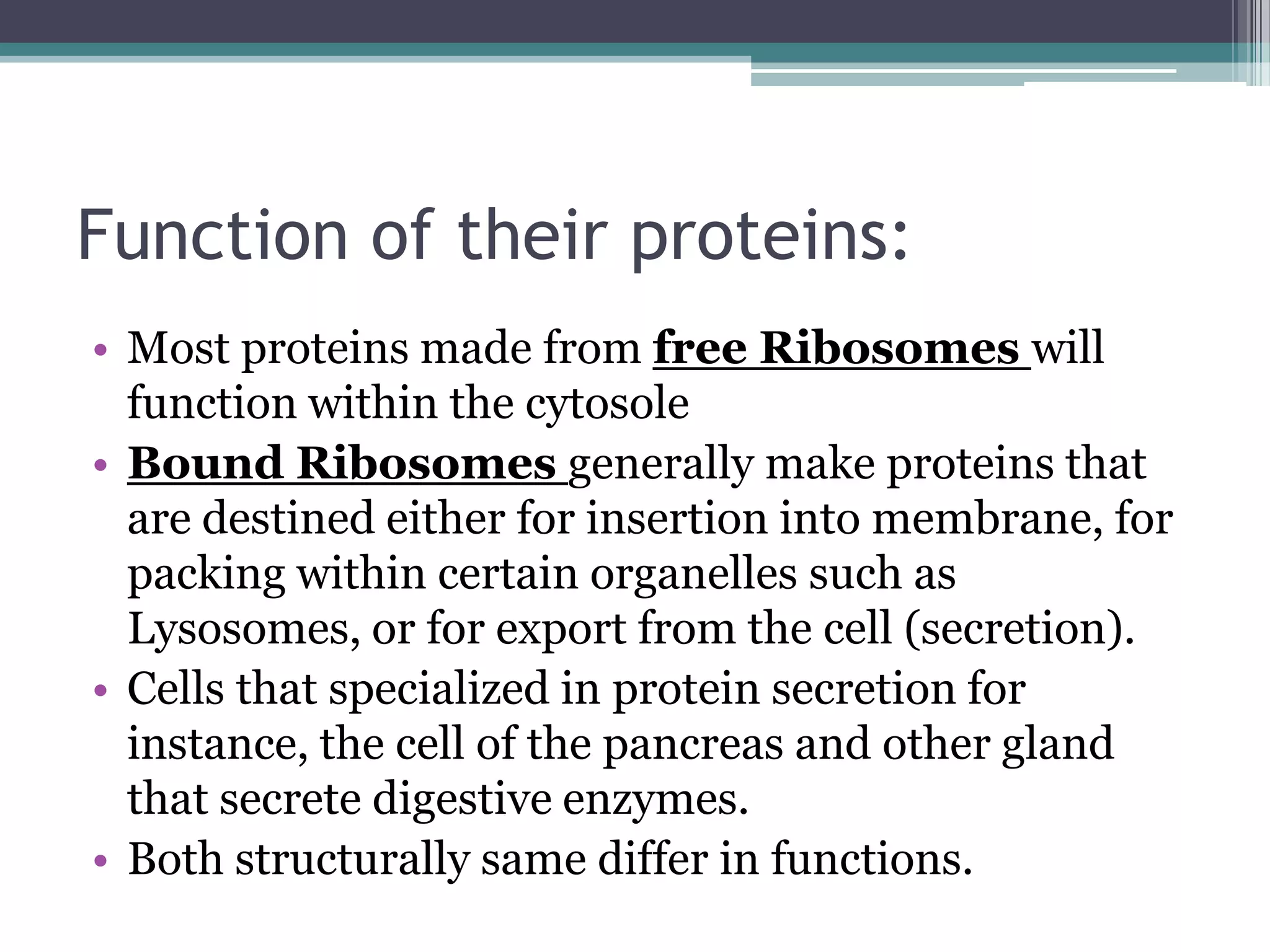 Introduction to cell organelles | PPTX