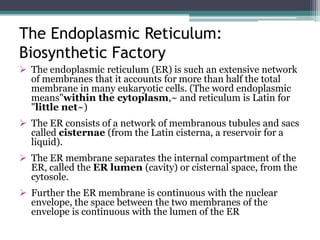 Introduction to cell organelles | PPTX