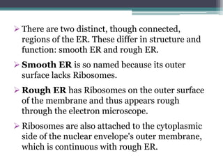 Introduction to cell organelles | PPTX