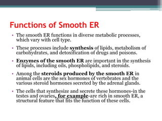 Introduction to cell organelles | PPTX