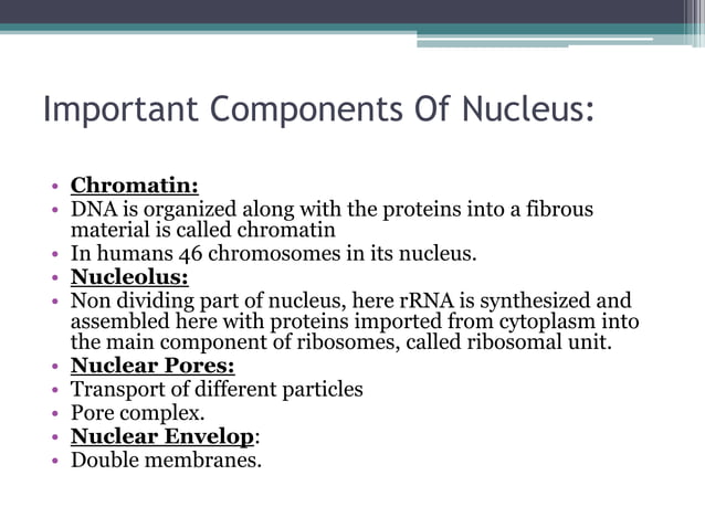 Introduction to cell organelles | PPTX