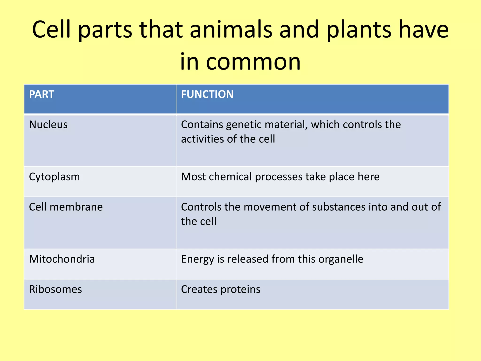 Introduction to Cells! | PPTX | Biological Sciences | Science