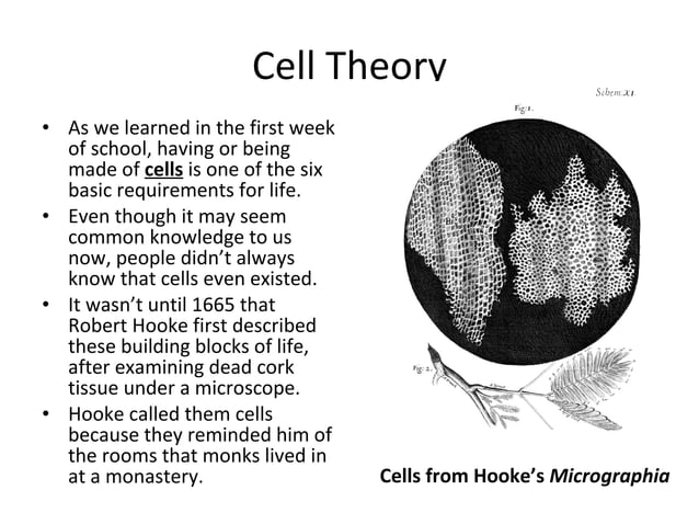 Introduction to cells | PPT