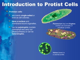 Introduction to cells | PPT