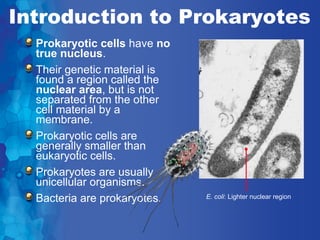 Introduction to cells | PPT