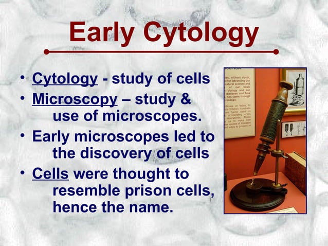 Introduction to Cells | PPT | Biological Sciences | Science