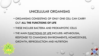 Introduction to cells | PPT