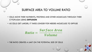 Introduction to cells | PPT