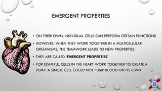 Introduction to cells | PPT