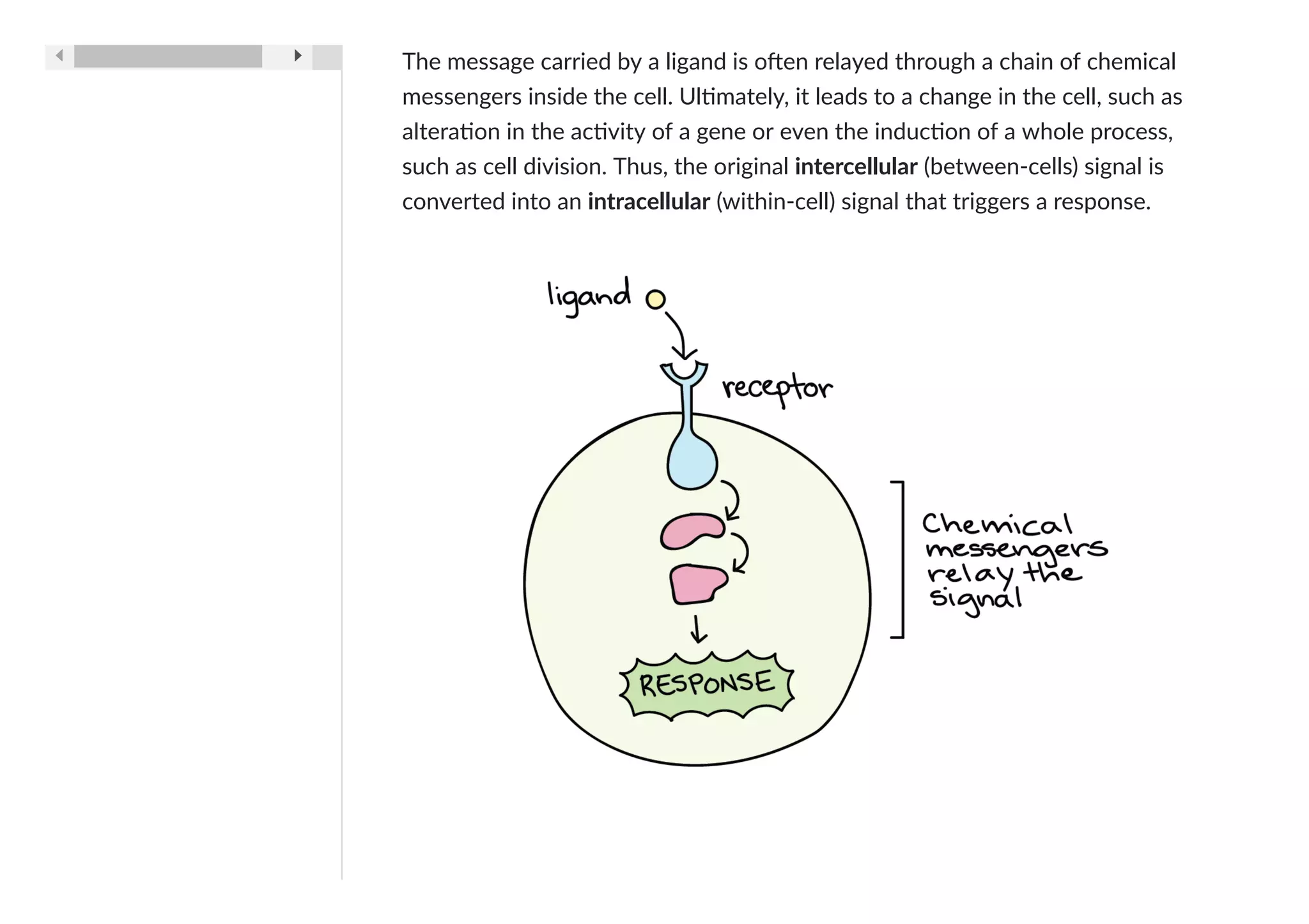 Introduction to cell signaling (article) _ Khan Academy.pdf