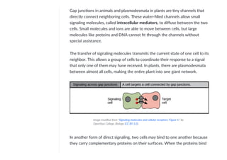 Introduction to cell signaling (article) _ Khan Academy.pdf
