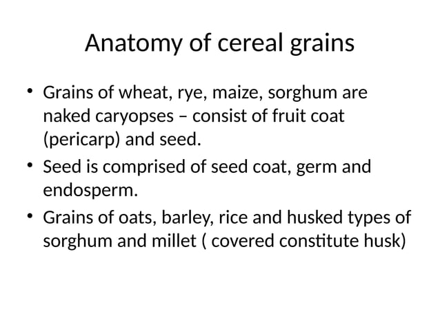 Introduction to cereals : Anatomy, Composition | PPT