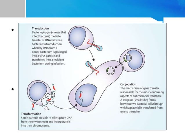 Introduction to chemotherapy.ppt