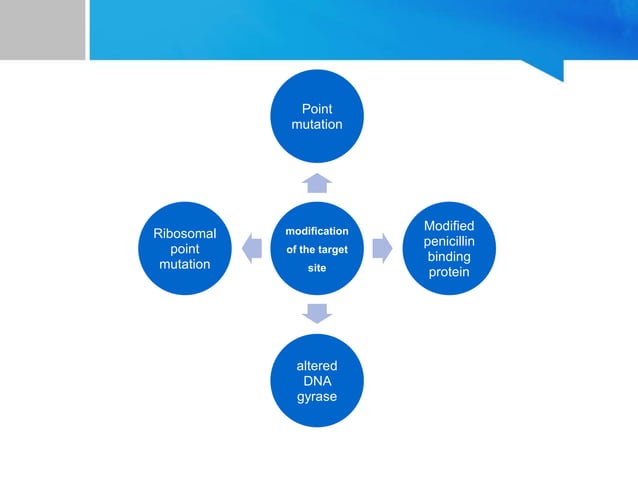 Introduction to chemotherapy.ppt