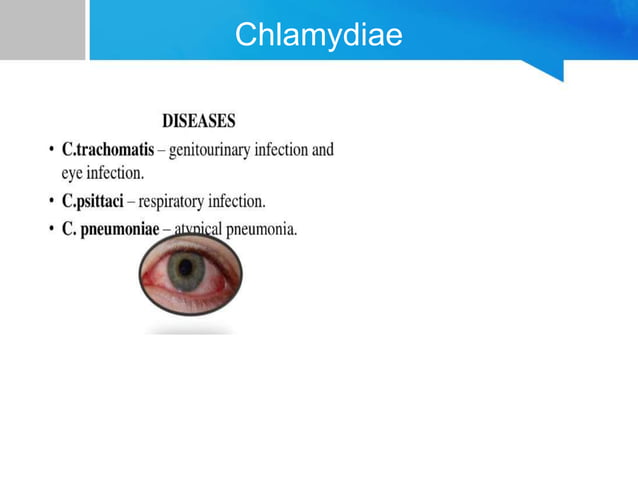 Introduction to chemotherapy.ppt