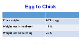 Introduction to Chicken | PPSX