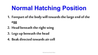 Introduction to Chicken | PPSX