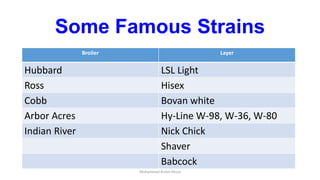 Introduction to Chicken | PPSX