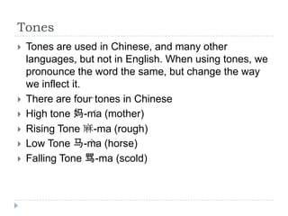 Introduction to chinese | PPTX