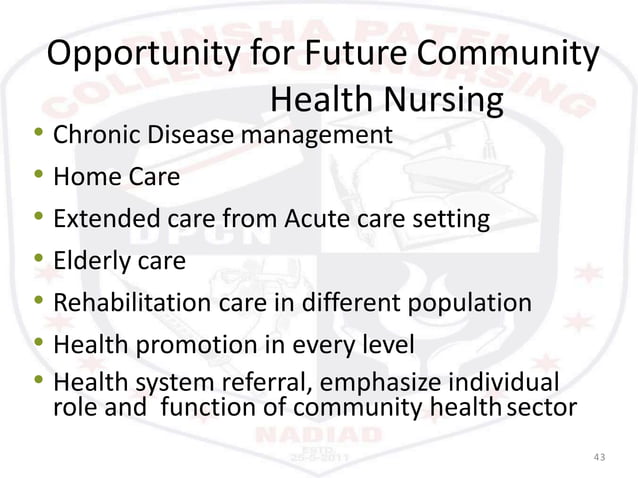 Community Health Nursing Introduction | PPSX