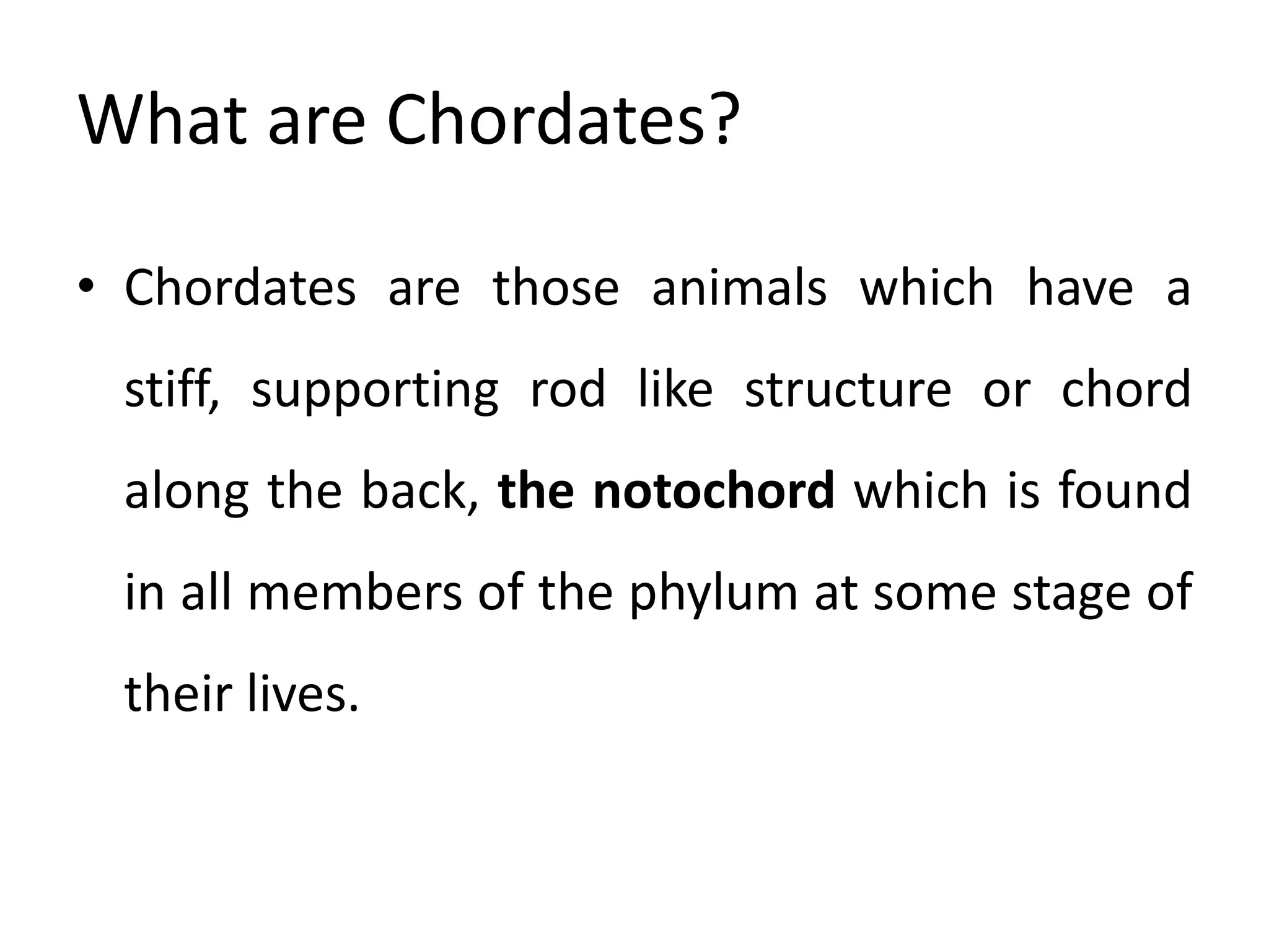 Introduction to chordates.pptx
