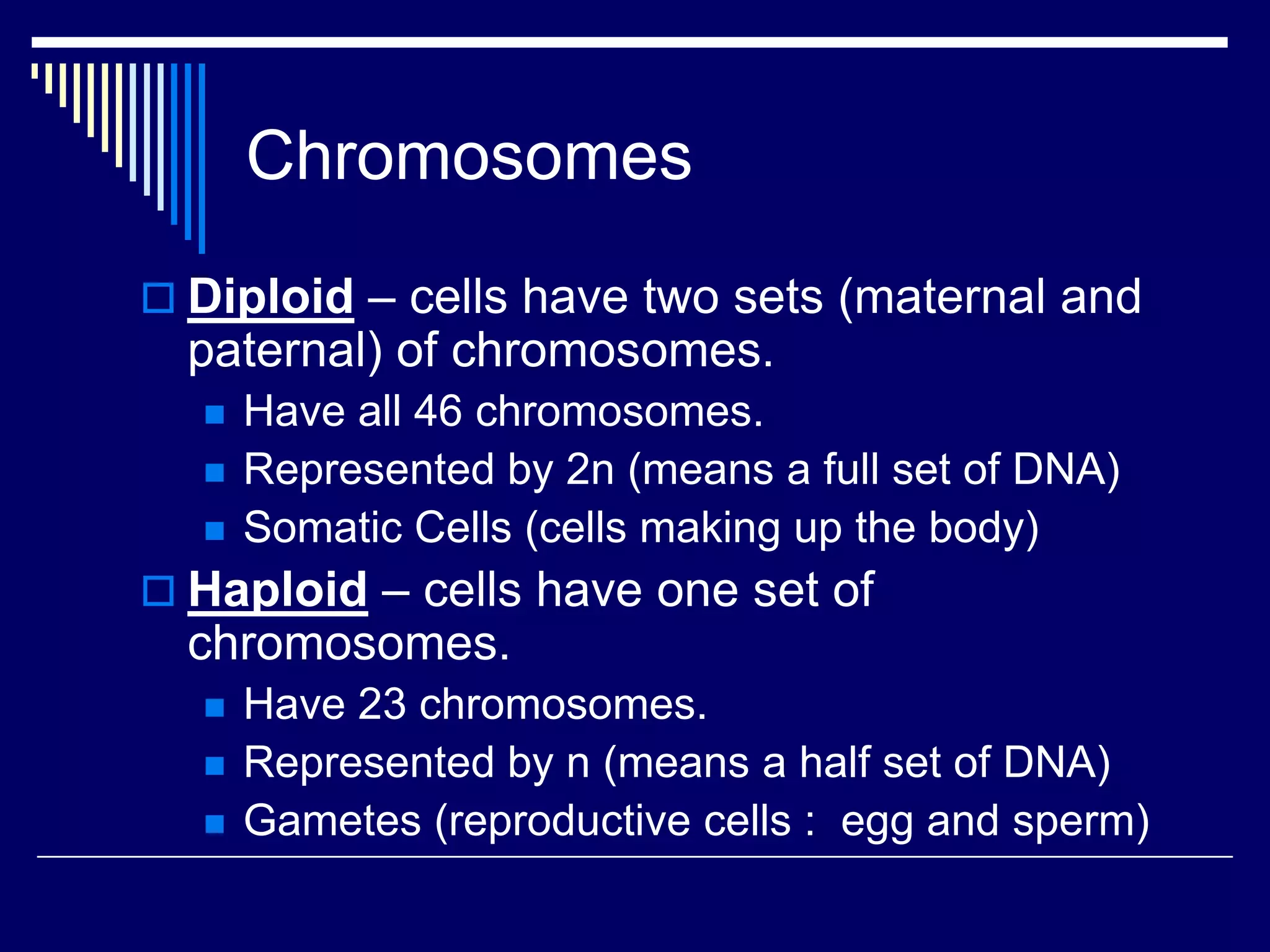 Introduction to chromosomes | PPTX