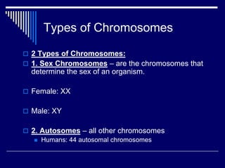 Introduction to chromosomes | PPTX