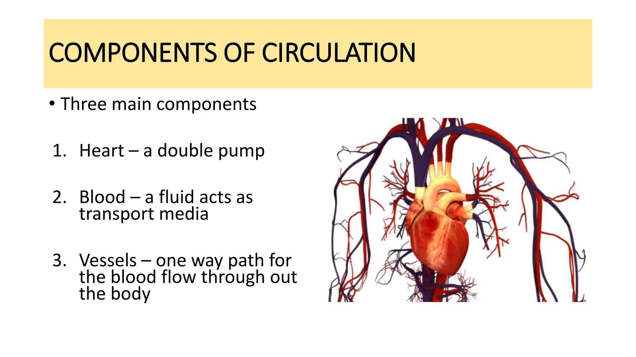 introduction to circulatory system.pptx by DR SHAZIA SUKHEIRA | PPT