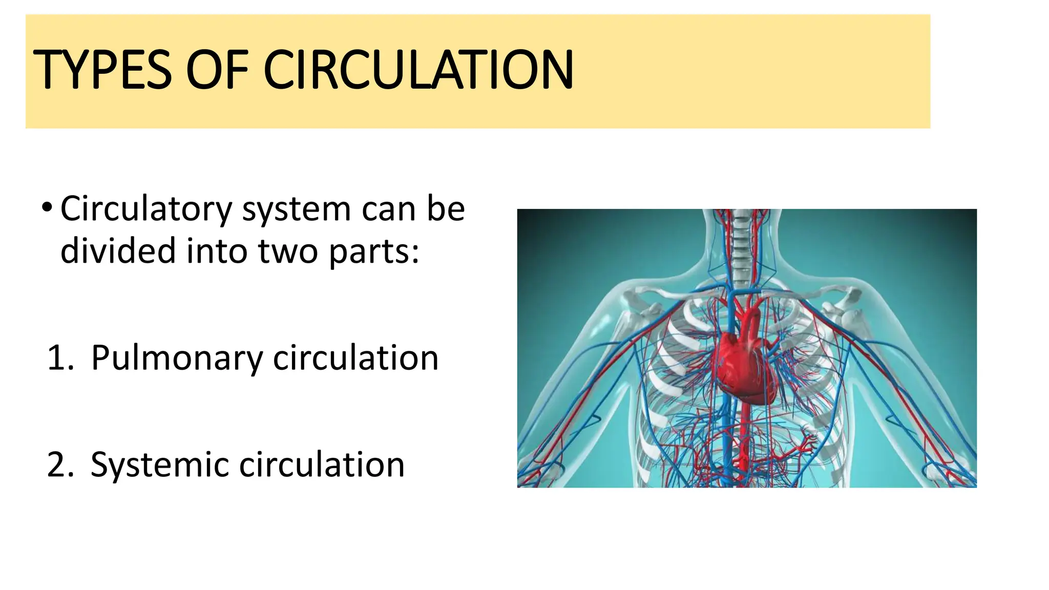 introduction to circulatory system.pptx by DR SHAZIA SUKHEIRA | PPT