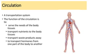 introduction to circulatory system.pptx by DR SHAZIA SUKHEIRA | PPTX