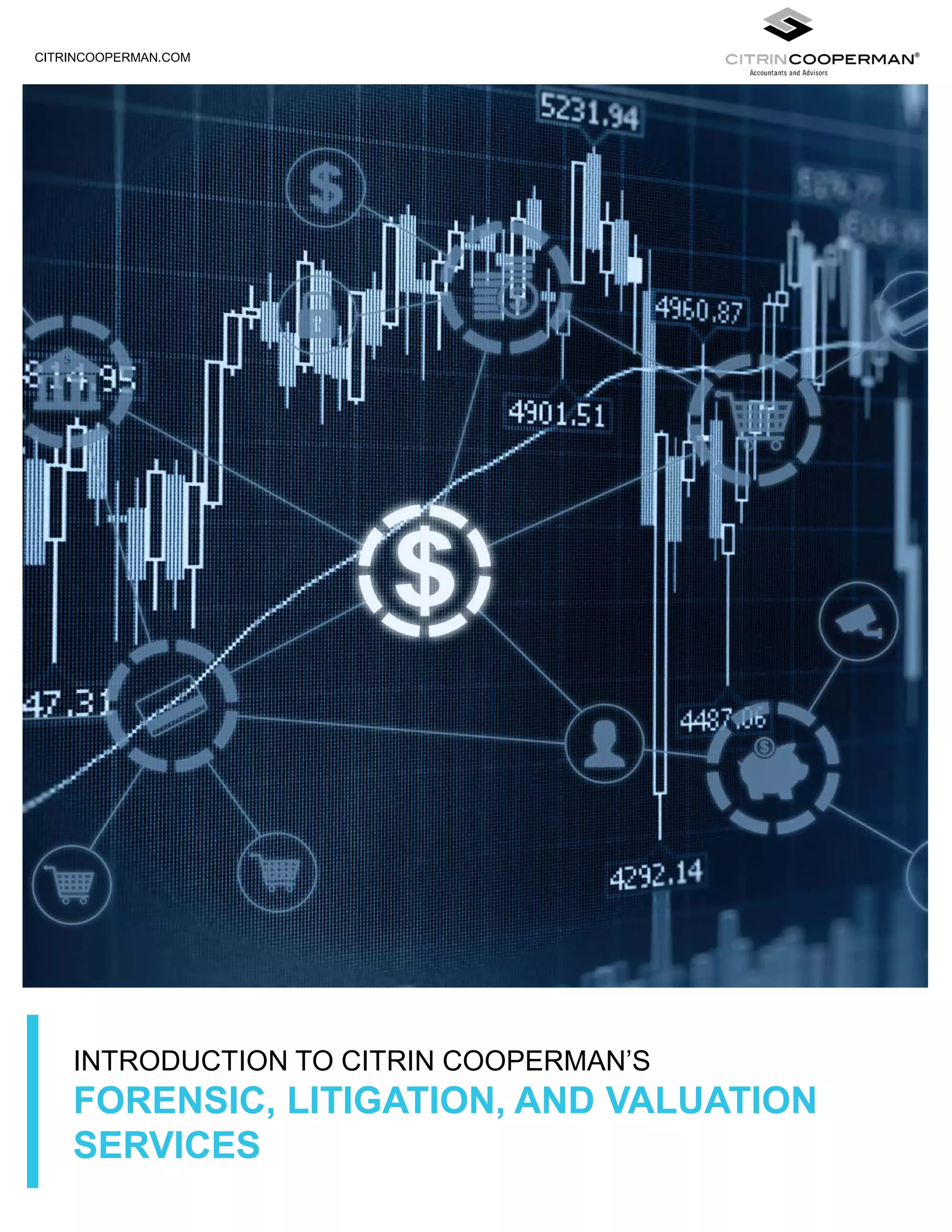 Citrin Cooperman's Forensic, Litigation, and Valuation Services | PDF ...