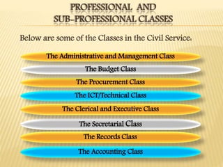 Introduction to civil service | PPTX