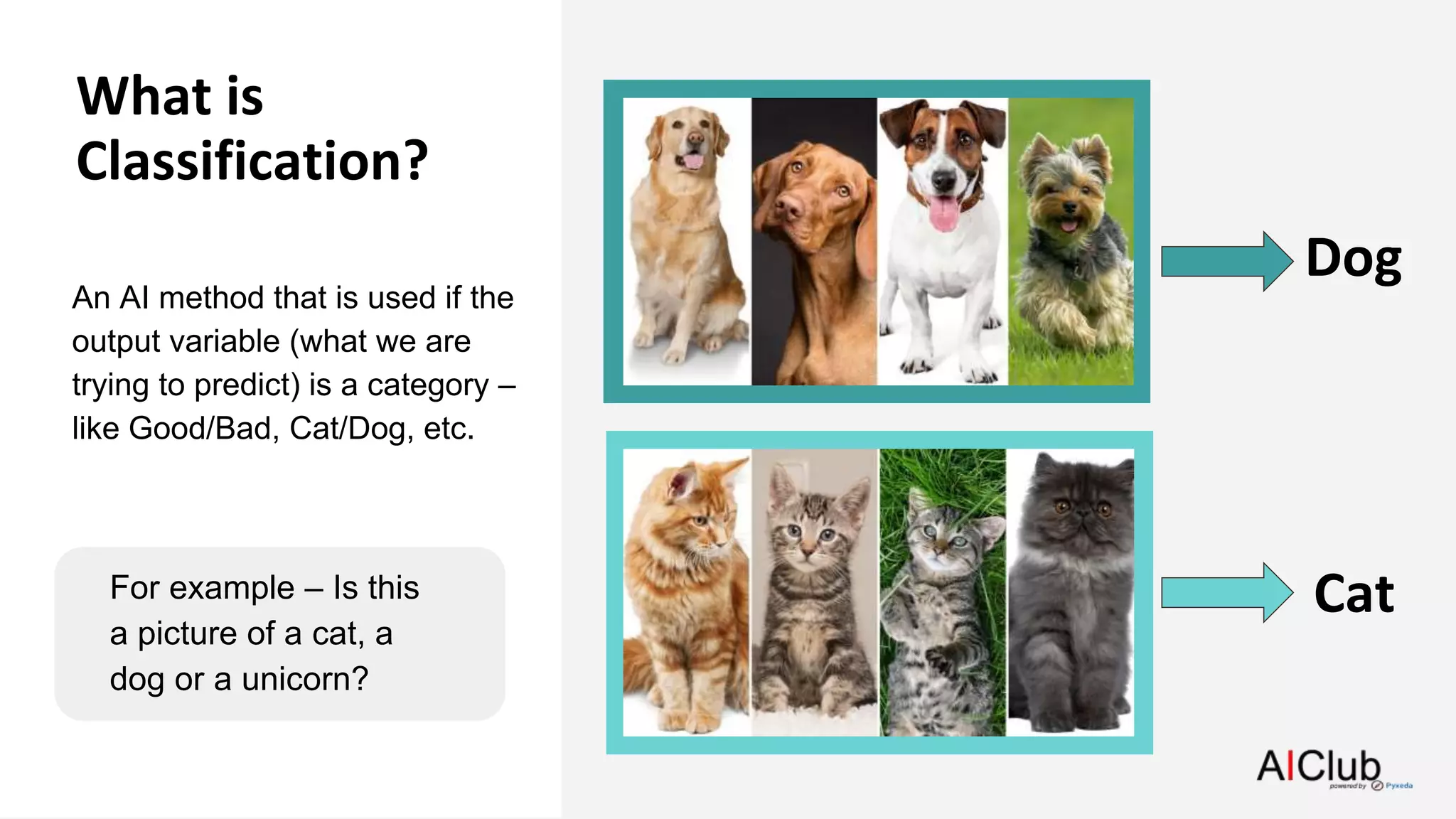 Introduction to classification_middleschool | PPT