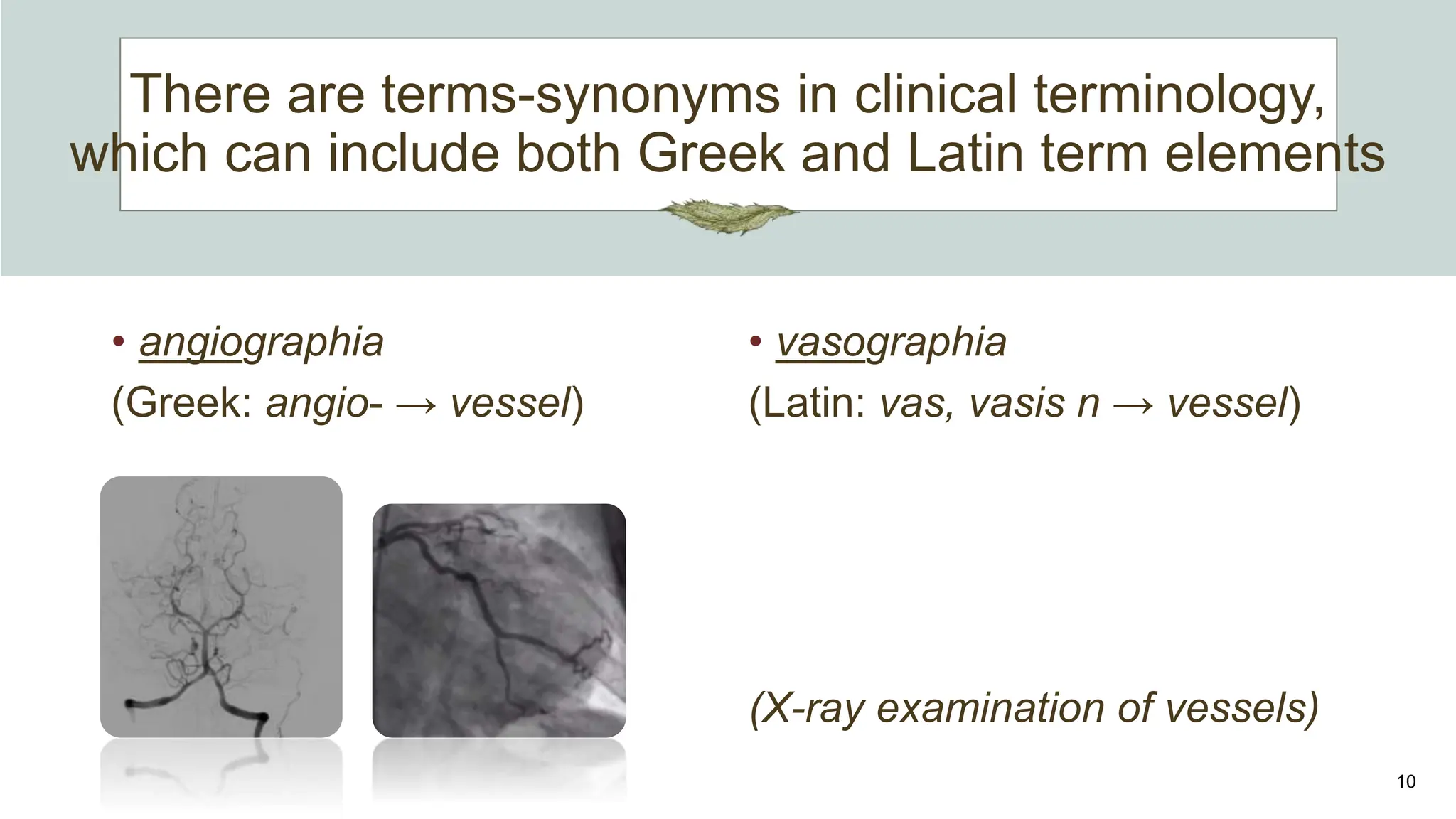 Introduction to clinical terminology.pptx