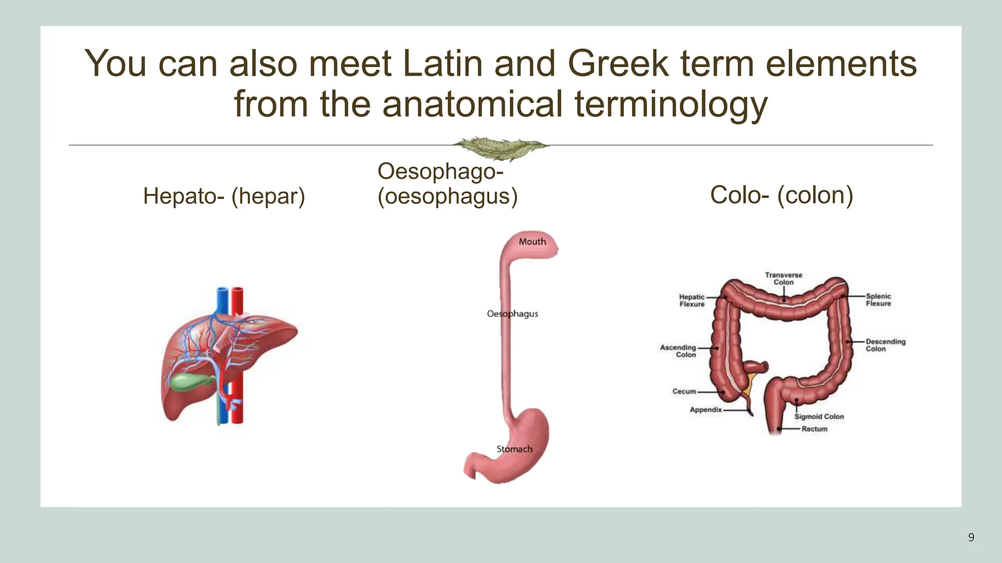 Introduction to clinical terminology.pptx