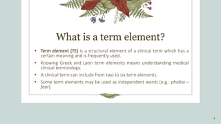 Introduction to clinical terminology.pptx