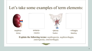 Introduction to clinical terminology.pptx
