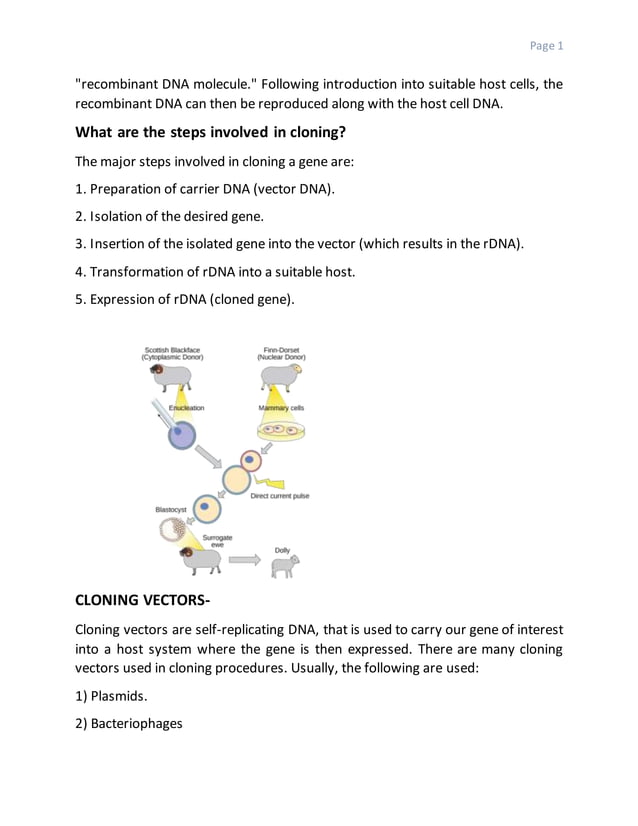 Introduction to cloning | DOCX | Reproductive Health | Diseases and ...