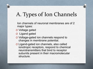 Introduction to CNS | PPTX | Brain and Nervous System Disorders ...