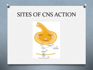 Introduction to CNS | PPTX