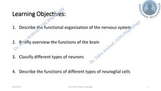 Introduction to the Physiology of Central Nervous System | PDF