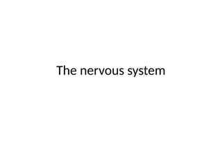introduction to central nervous system.pptx
