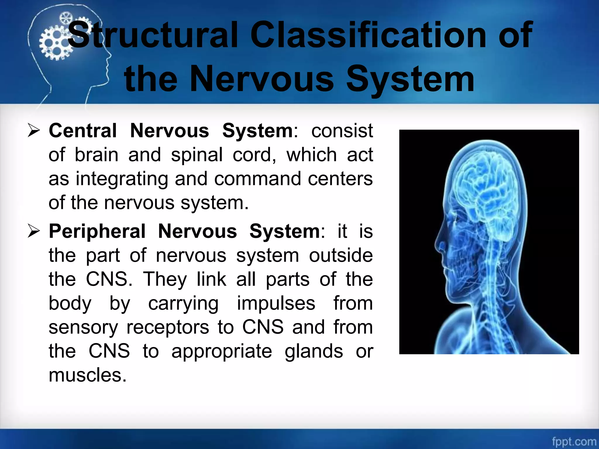 Introduction to cns pharmacology | PPTX