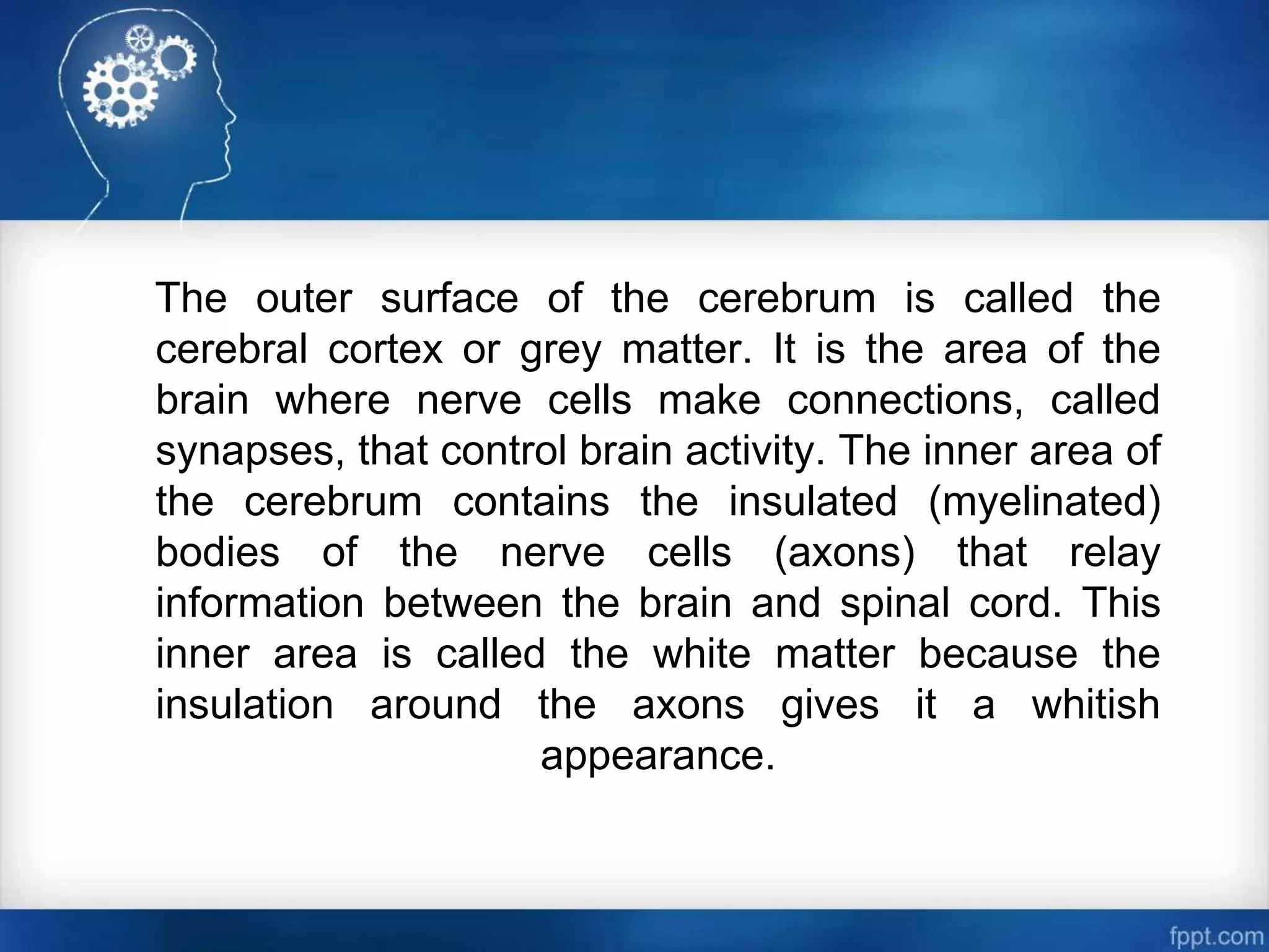 Introduction to cns pharmacology | PPTX