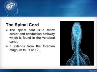 Introduction to cns pharmacology | PPTX