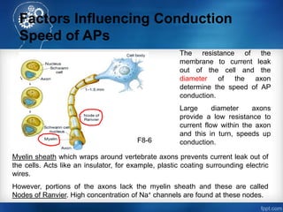 Introduction to cns pharmacology | PPTX