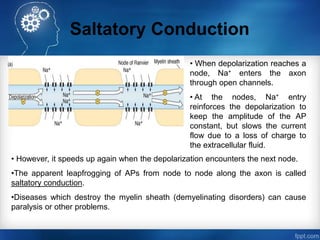 Introduction to cns pharmacology | PPTX
