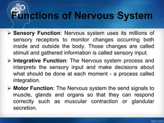 Introduction to cns pharmacology | PPTX